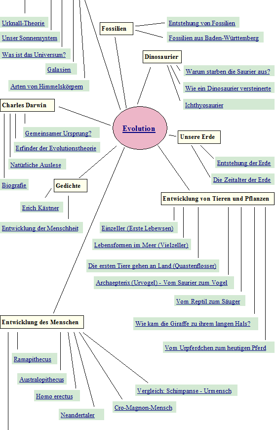 Mind Mapping "Evolution"